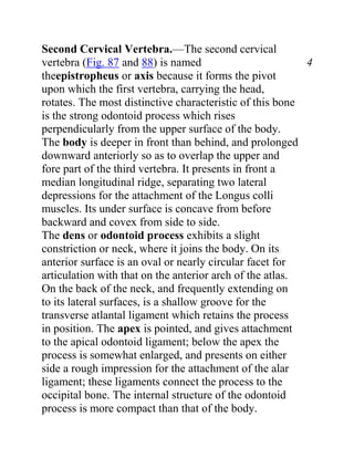 Anatomy cervical vertebra | PDF