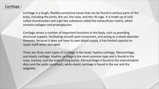 cartilage and joints anatomy chap 1 | PDF