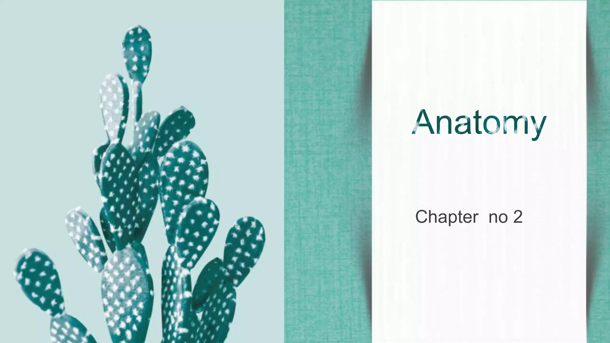 anatomy chap 2 back muscles.pptx