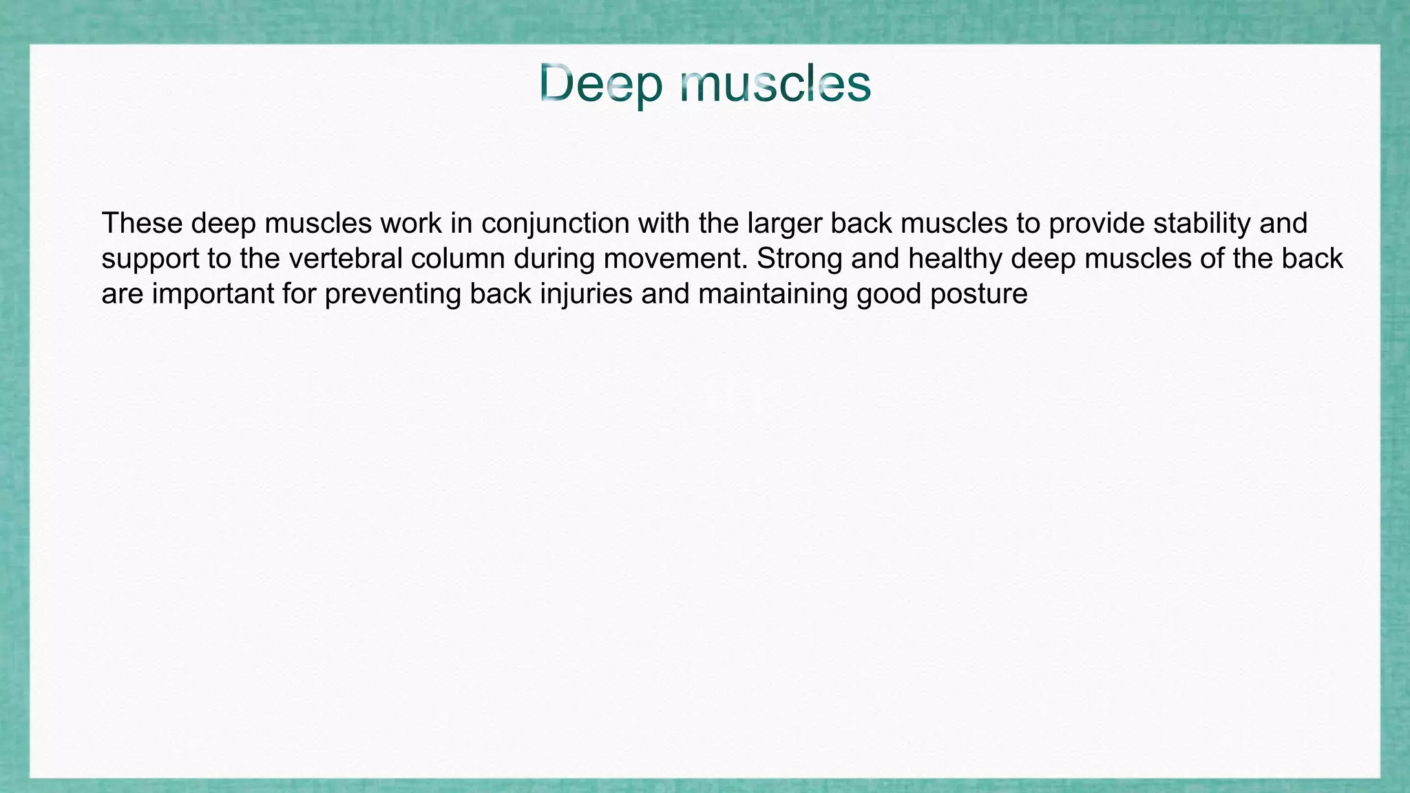 anatomy chap 2 back muscles.pptx