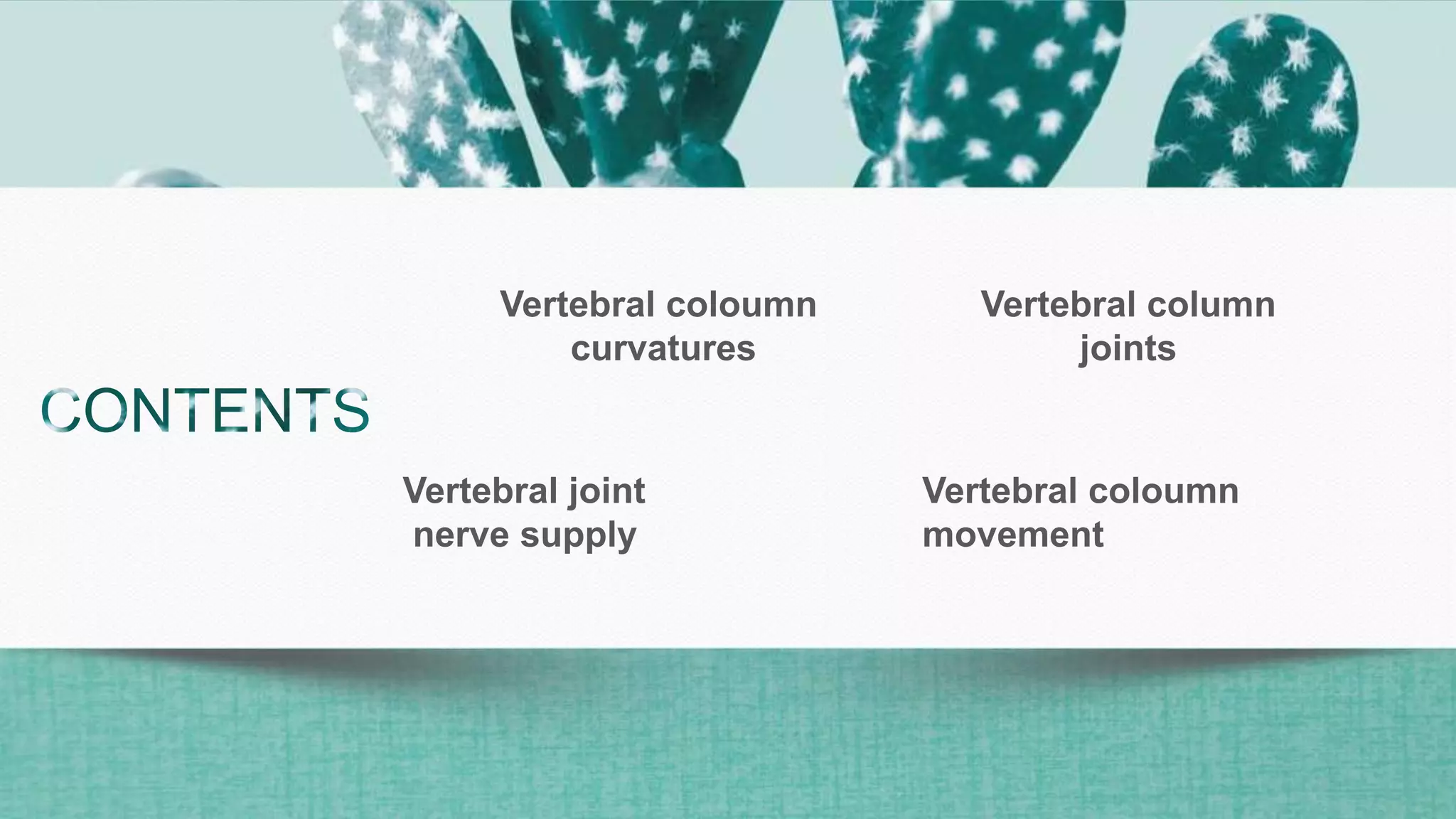 anatomy chap 2 back muscles.pptx