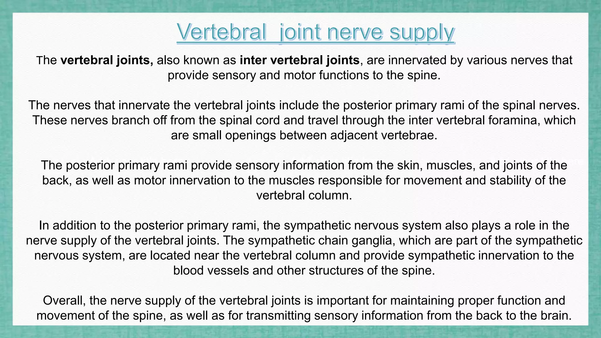 anatomy chap 2 back muscles.pptx