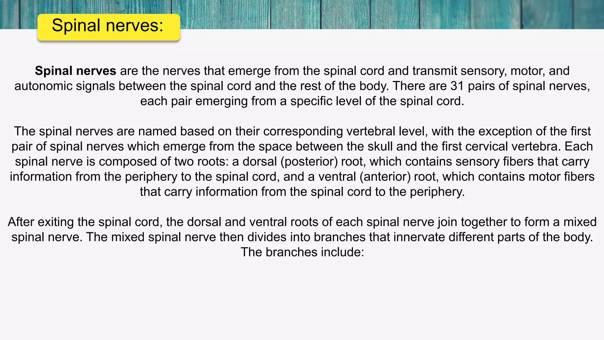 Anatomy chap 2 deep fascia.pptx