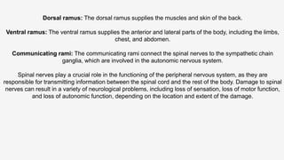 Anatomy chap 2 deep fascia.pptx