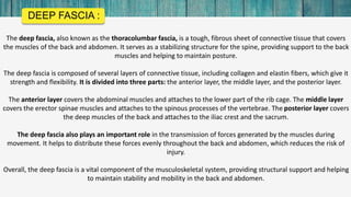 Anatomy chap 2 deep fascia.pptx