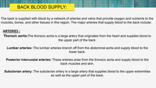 Anatomy chap 2 deep fascia.pptx
