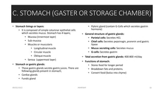 ANATOMY CHAP 9.pdfHomeostasis (2) atf (1).pdf