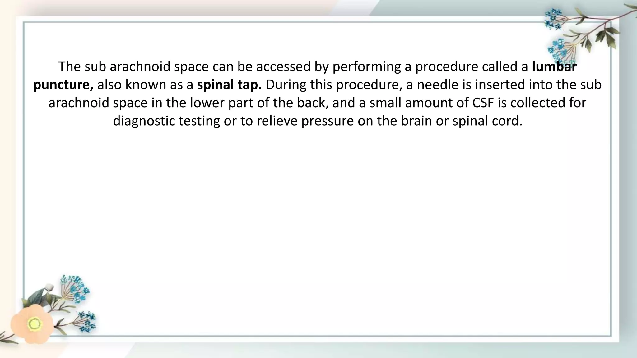 anatomy chap arachnoid mater.pptx