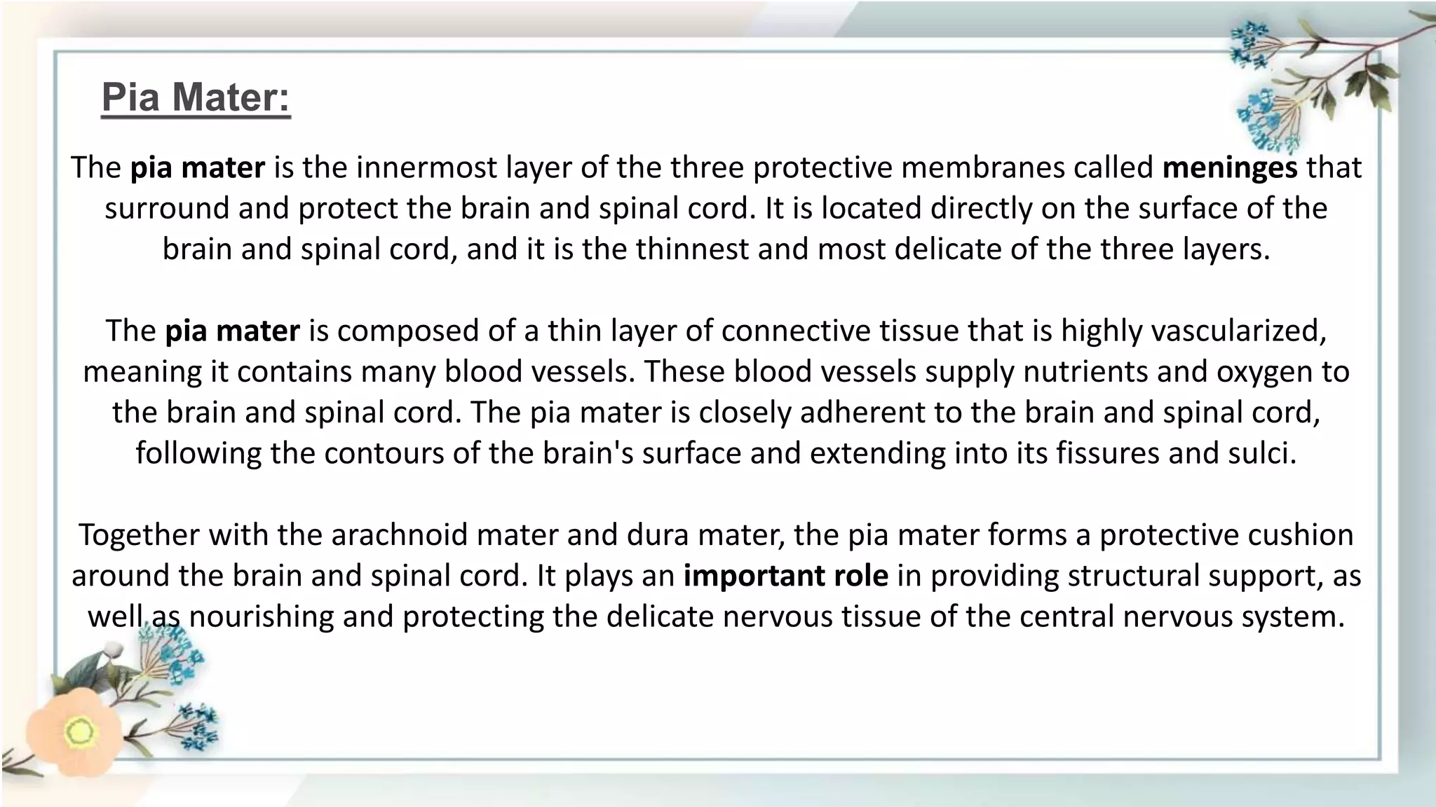 anatomy chap arachnoid mater.pptx