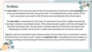 anatomy chap arachnoid mater.pptx