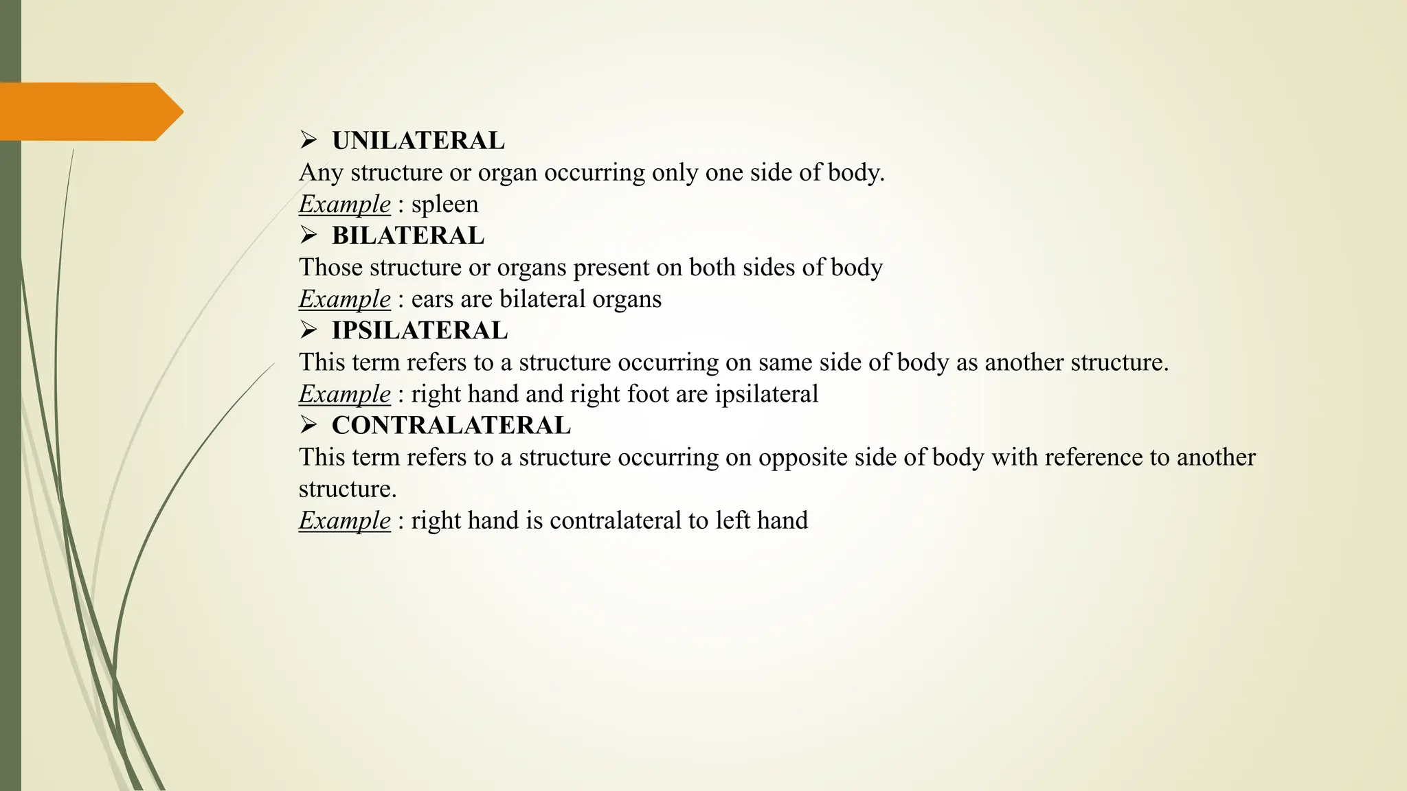 ANATOMY chapter terms of anotmy by laiq ahmad | PPTX
