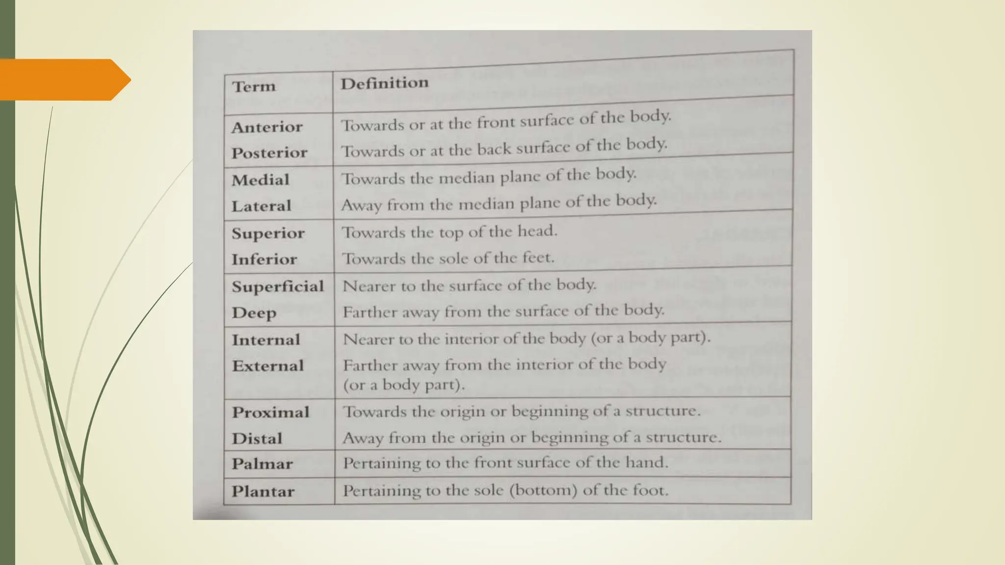 ANATOMY chapter terms of anotmy by laiq ahmad | PPTX
