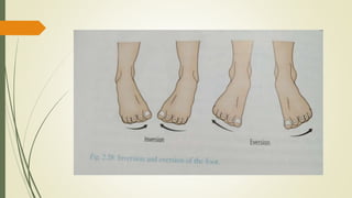 ANATOMY chapter terms of anotmy by laiq ahmad | PPTX | Death, Injury ...