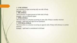 ANATOMY chapter terms of anotmy by laiq ahmad | PPT