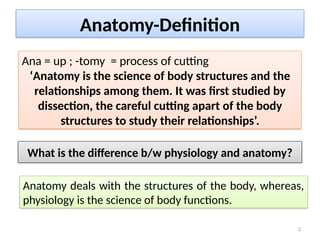Anatomy Chp 1.pptxttvtvvvtvbyvttvybybybybygybyb | PPTX