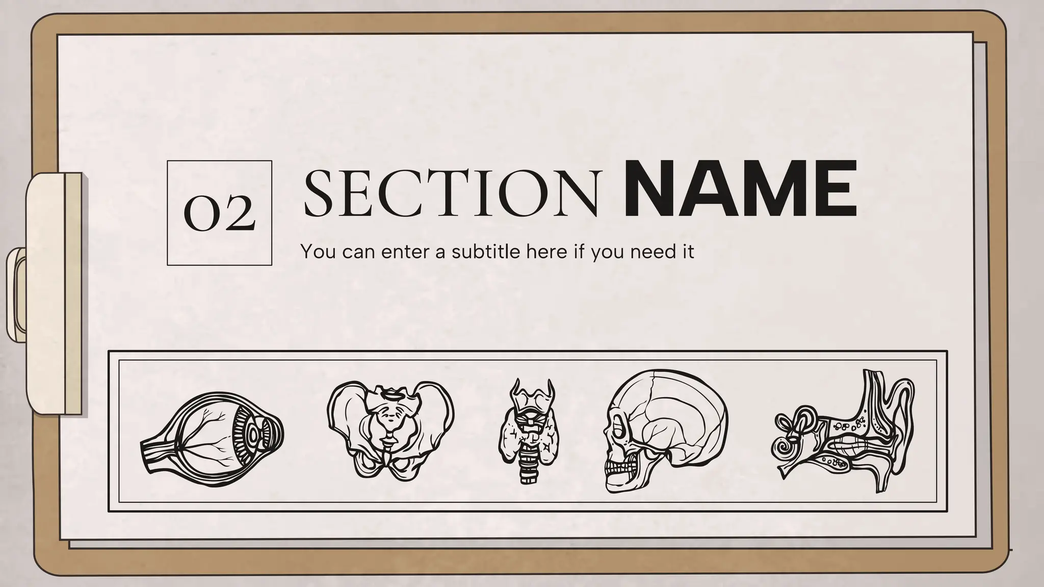 Anatomy Clipboard Theme for Doctors by Slidesgo.pptx