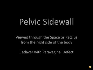 Anatomy club test | PPTX