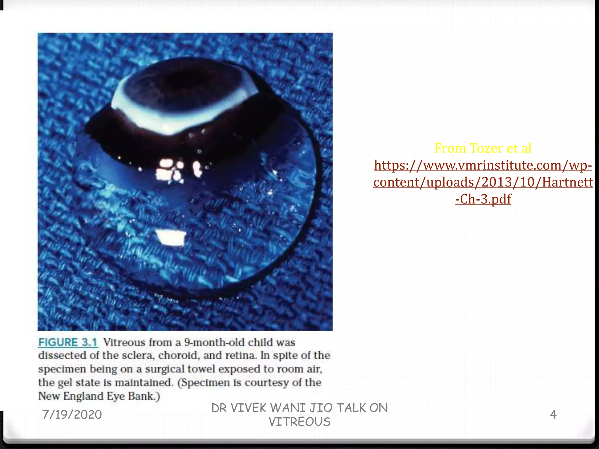 DR WANI'STALK ON Anatomy, development and applied anatomy of the ...