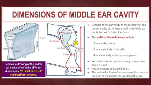 Anatomy & development of the middle ear | PPTX | Ear, Nose and Throat ...