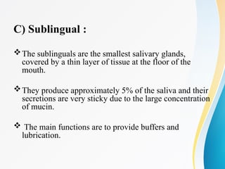 Anatomy of Digestion_The Digestive System.ppt