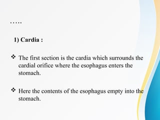 Anatomy of Digestion_The Digestive System.ppt