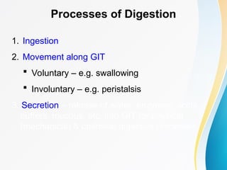 Anatomy of Digestion_The Digestive System.ppt