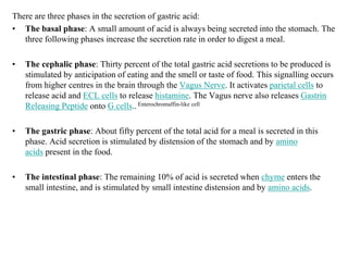 ANATOMY DIGESTIVE SYSTEM.pptx