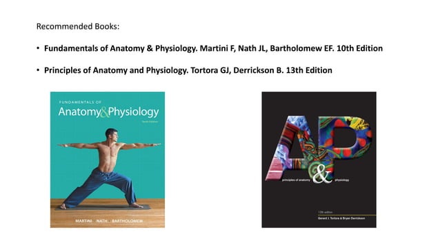 Anatomy Digestive System 1st proff 2022-2023.pdf