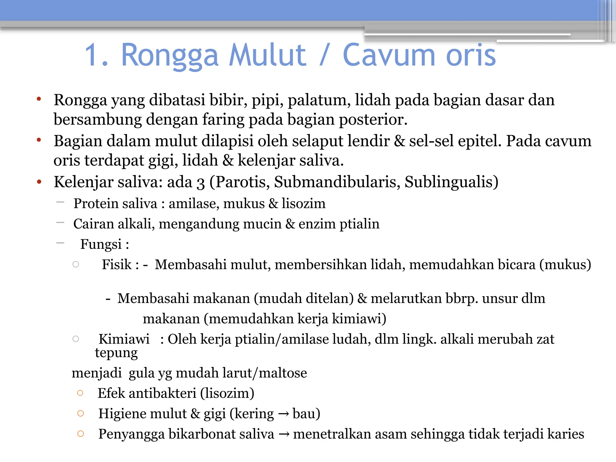 Anatomy_digestive_system_anatomi_saluran.pptx