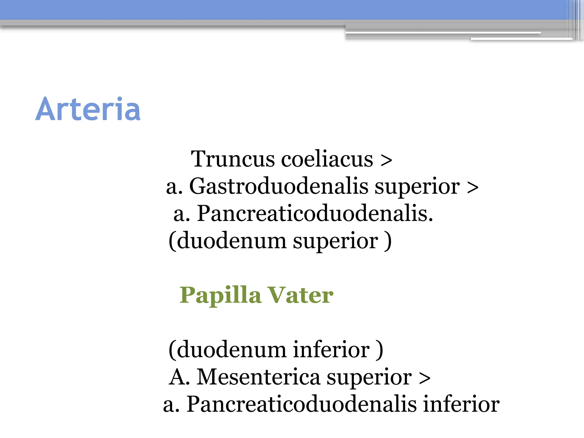 Anatomy_digestive_system_anatomi_saluran.pptx