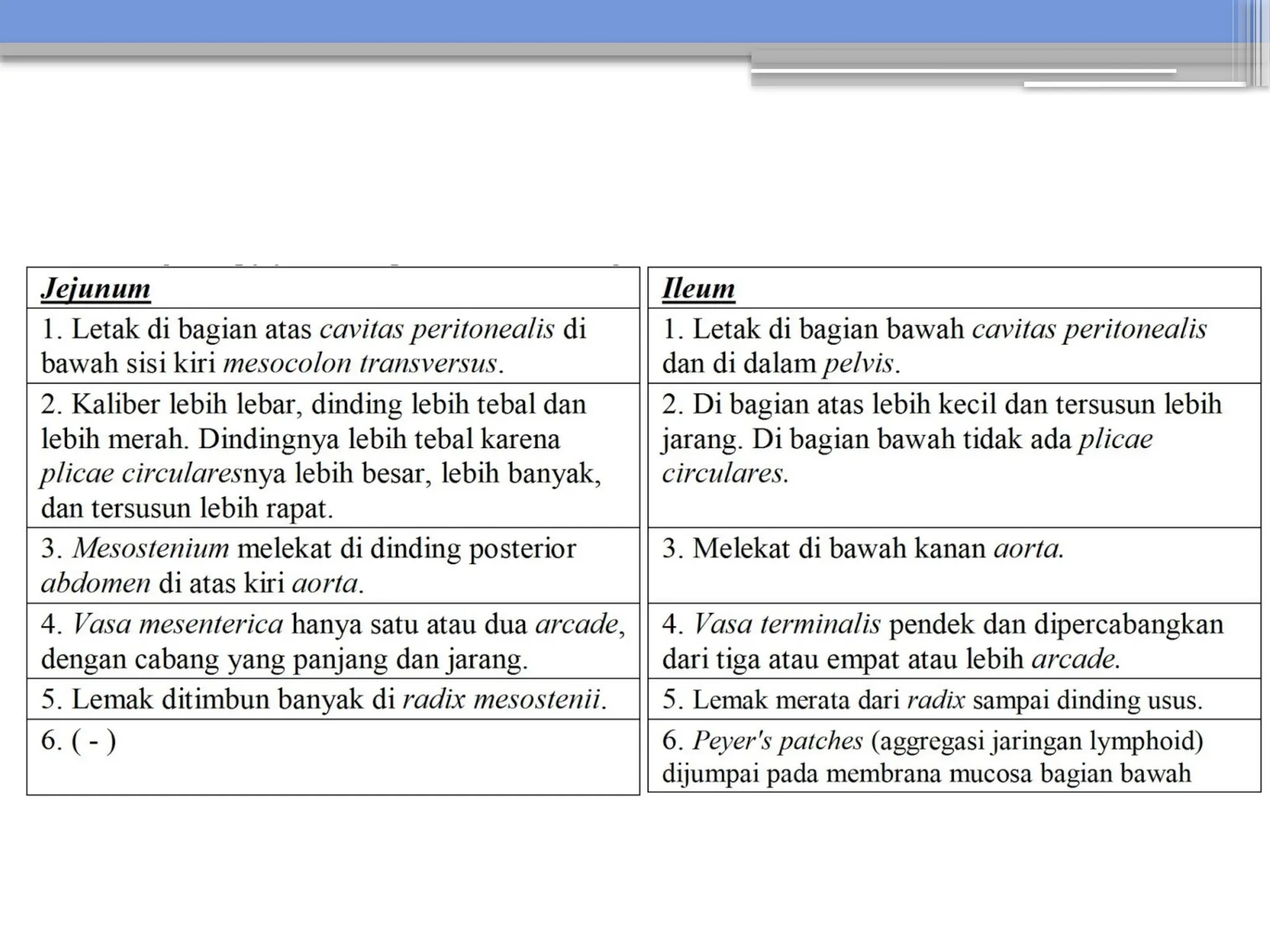 Anatomy_digestive_system_anatomi_saluran.pptx