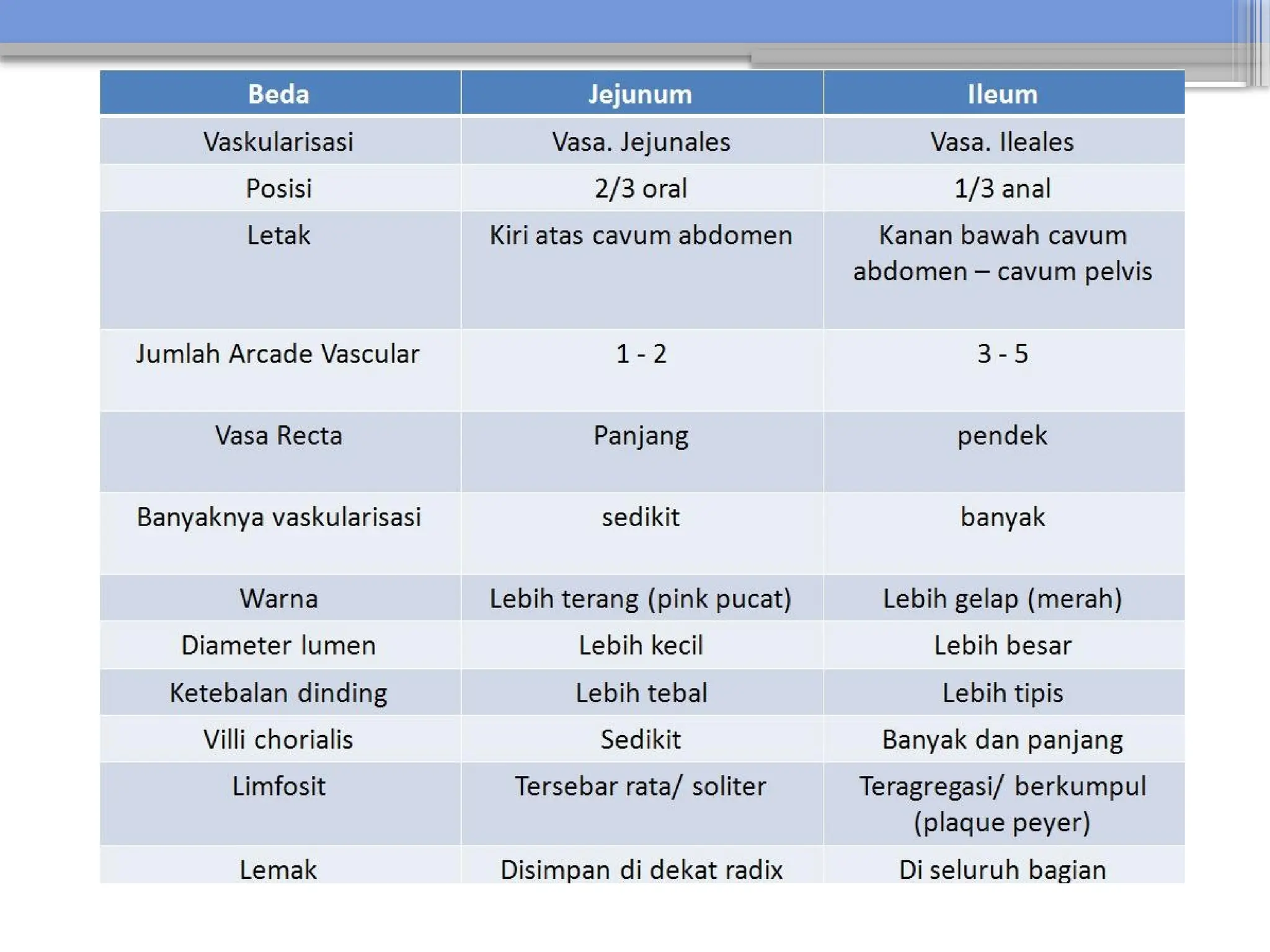Anatomy_digestive_system_anatomi_saluran.pptx