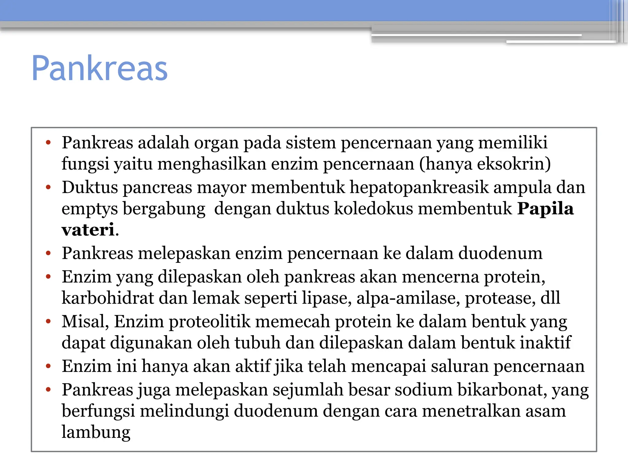 Anatomy_digestive_system_anatomi_saluran.pptx