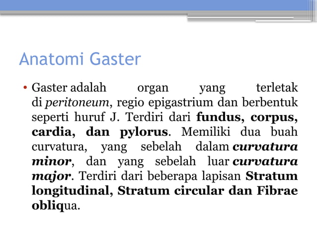 Anatomy_digestive_system_anatomi_saluran.pptx