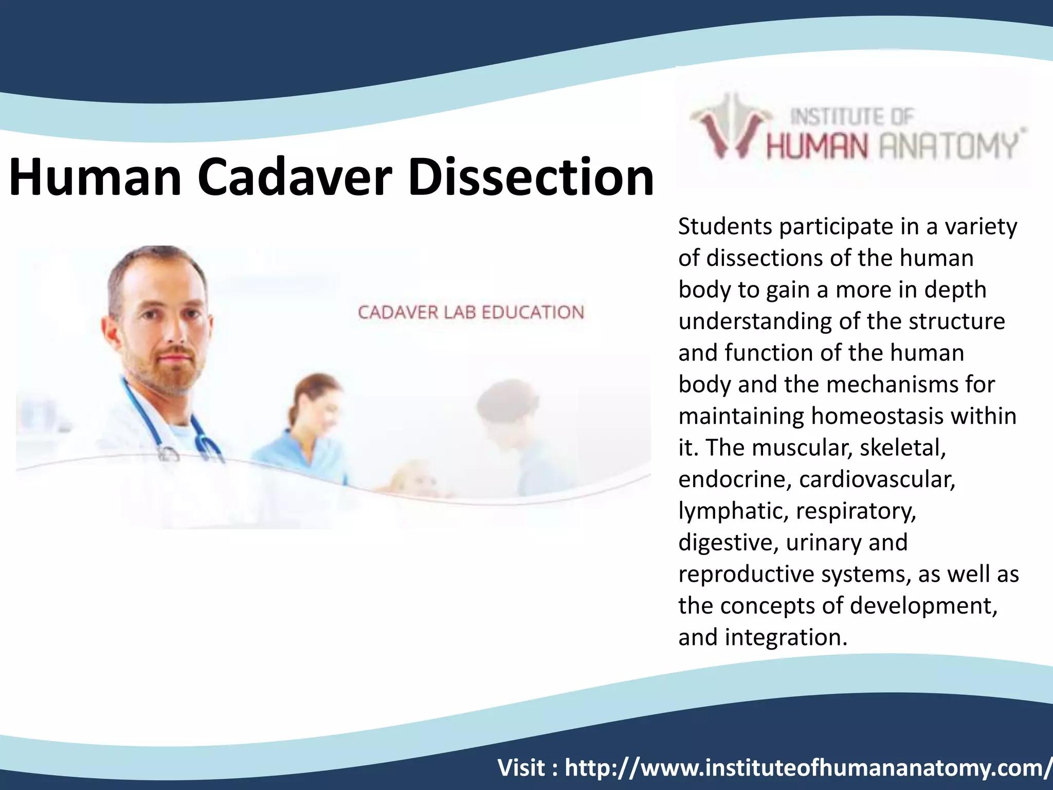 Anatomy dissection | PPT