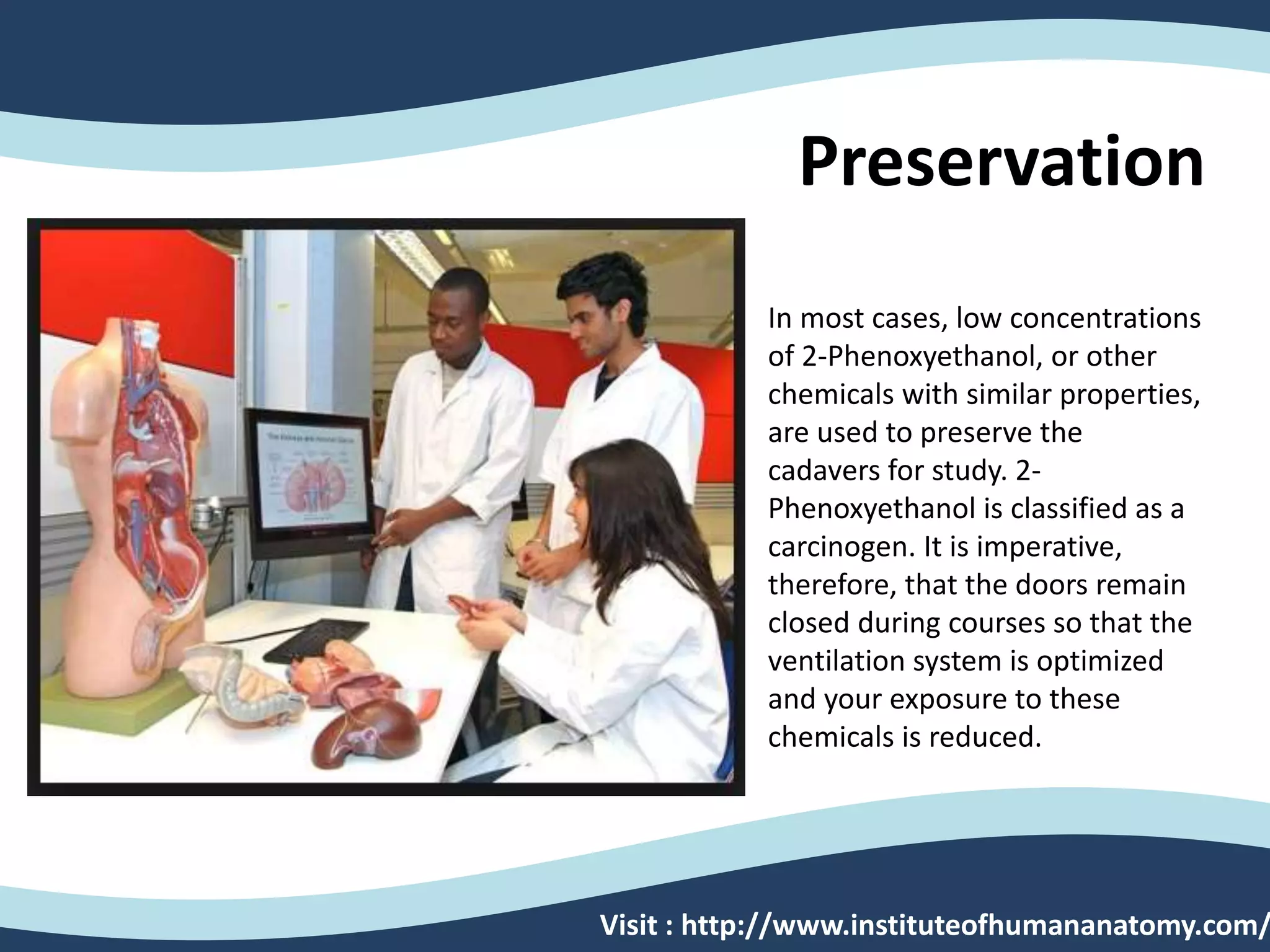 Anatomy dissection | PPT