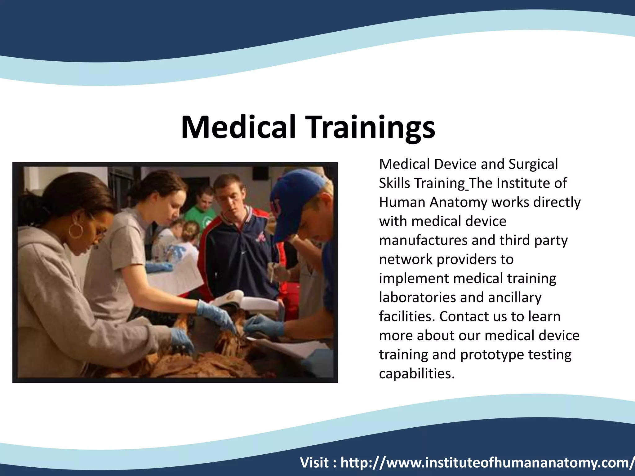 Anatomy dissection | PPT