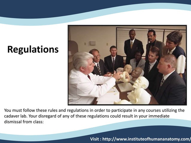 Anatomy dissection | PPT