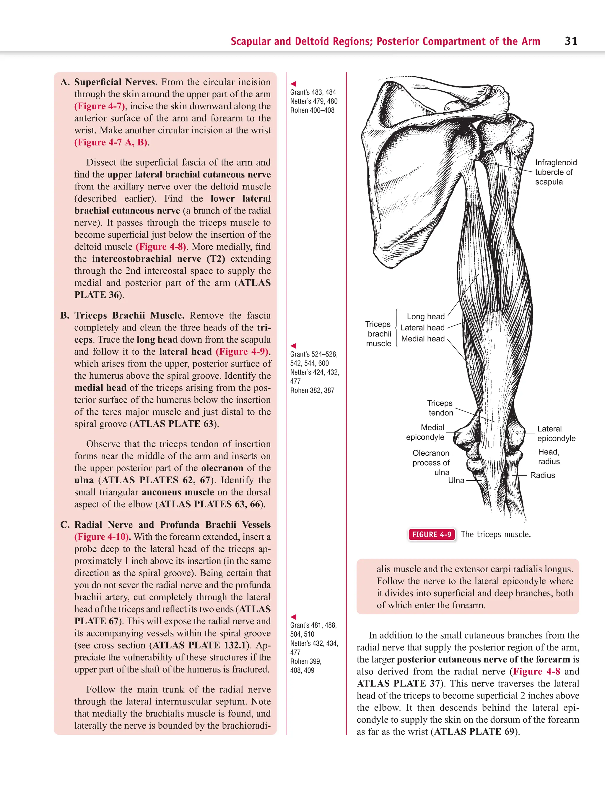 Anatomy Dissector - Clementes a book for anatomy class | PDF