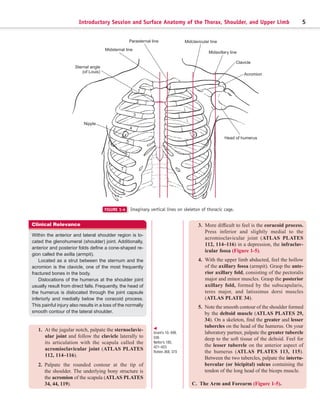 Anatomy Dissector - Clementes a book for anatomy class | PDF