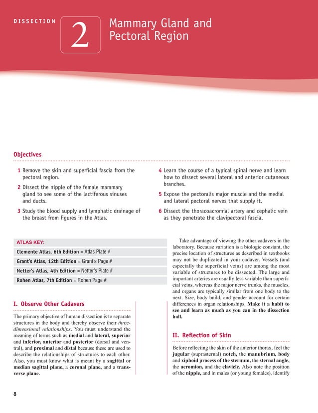 Anatomy Dissector - Clementes a book for anatomy class | PDF