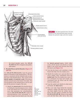 Anatomy Dissector - Clementes a book for anatomy class | PDF