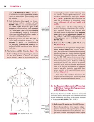 Anatomy Dissector - Clementes a book for anatomy class | PDF