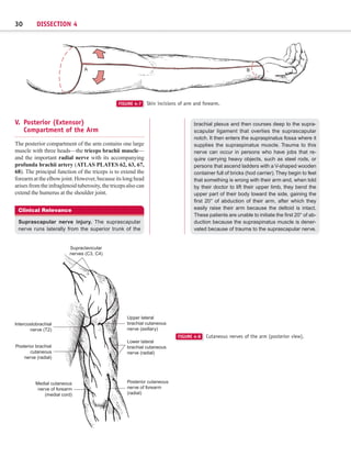 Anatomy Dissector - Clementes a book for anatomy class | PDF