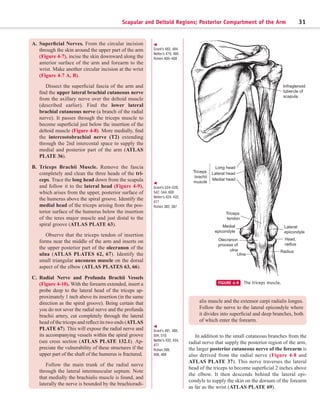 Anatomy Dissector - Clementes a book for anatomy class | PDF