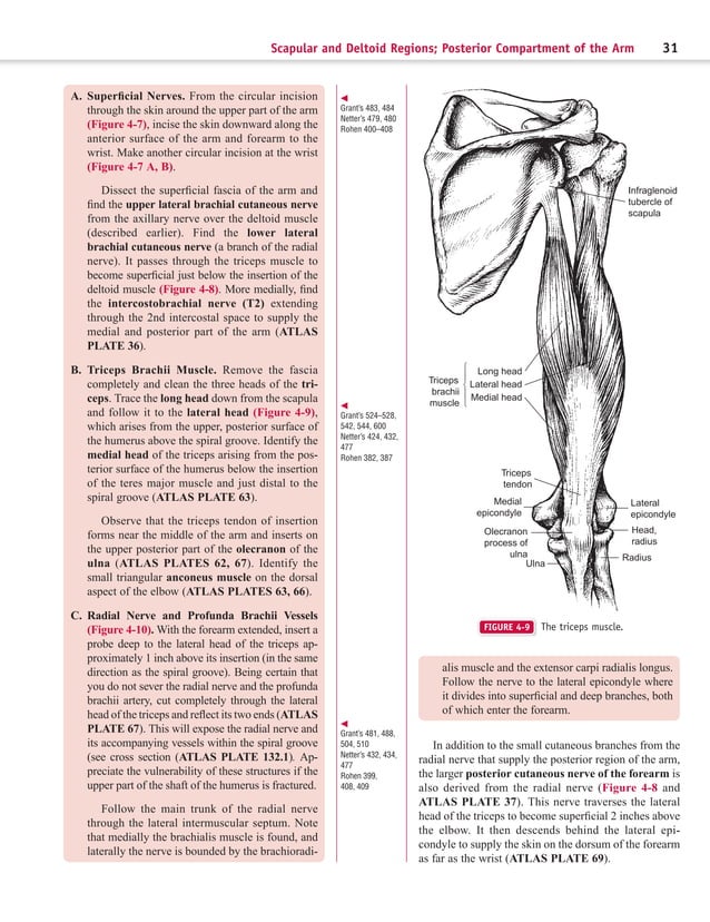 Anatomy Dissector - Clementes a book for anatomy class | PDF