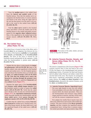 Anatomy Dissector - Clementes a book for anatomy class | PDF