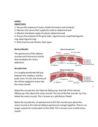 Summary: Anatomy of Abdomen Anterior Abdominal Wall, Esophagus and ...