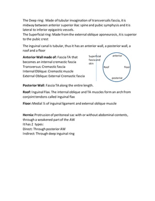 Summary: Anatomy of Abdomen Anterior Abdominal Wall, Esophagus and ...