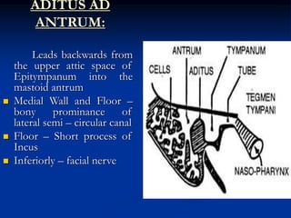 Anatomy ear | PPT